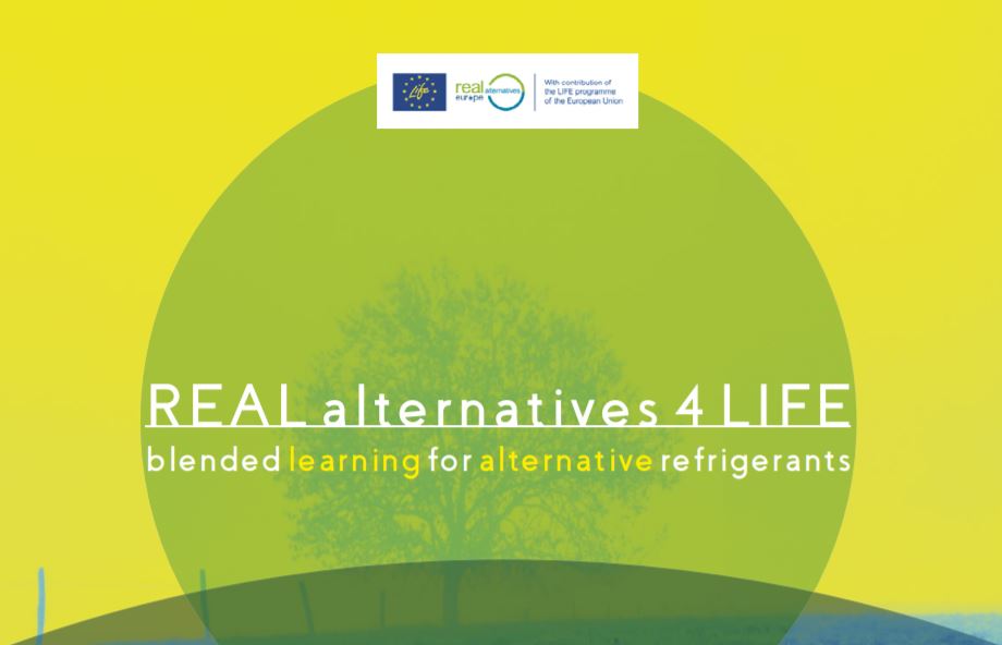 Cerimonia Real Alternatives LIVE ! Un report conclusivo. – I&F ONLINE